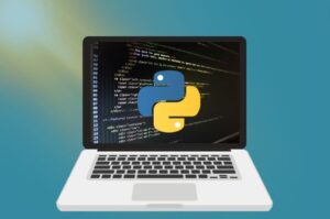 What Makes Python a Great Programming Language for Beginners